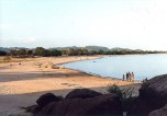 Dwangwa